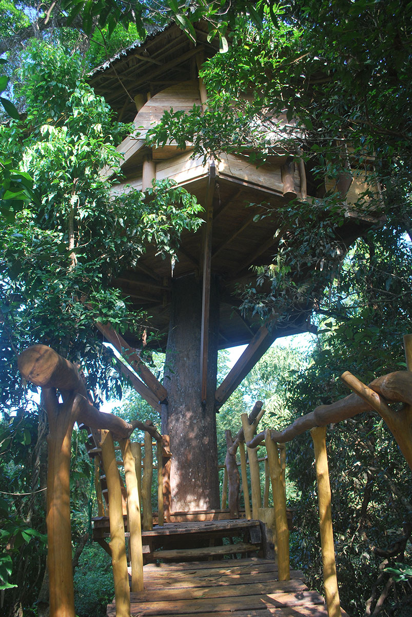 DSC_0245a – Treehouse Sri Lanka